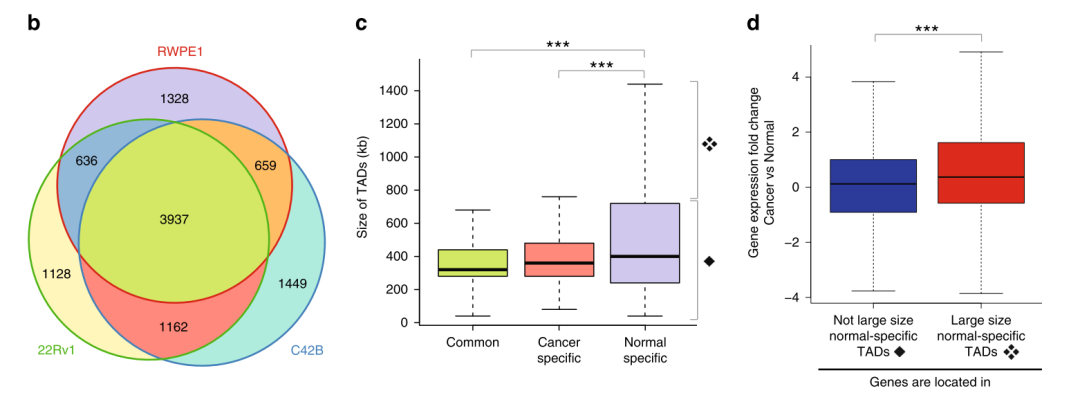 Hi-C：三维表观基因组学揭示DNA-DNA相互作用 - 知乎
