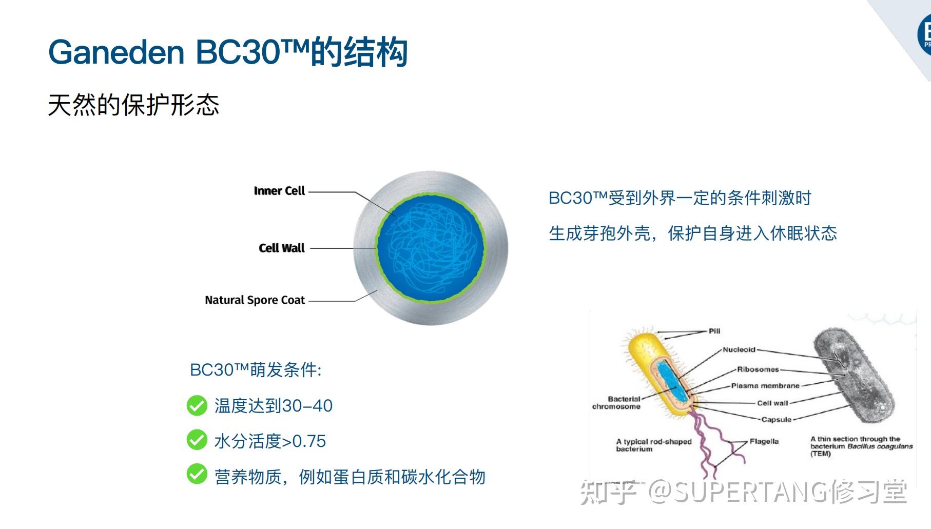 能够“活着”抵达肠道的凝结芽孢杆菌BC30（GBI-30,6086） - 知乎