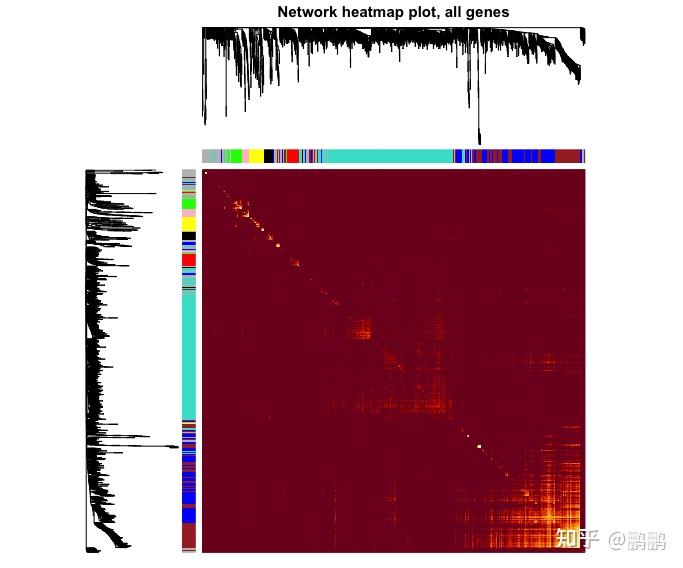 WGCNA分析中基因共表达热图出现的问题 - 知乎