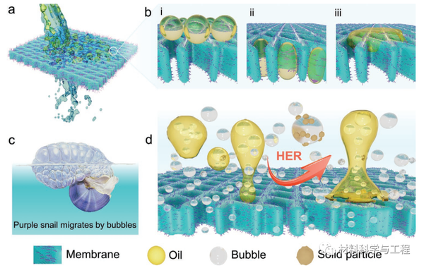 中国石油大学(华东)《AFM》：油水分离膜研究方面取得新进展！ - 知乎