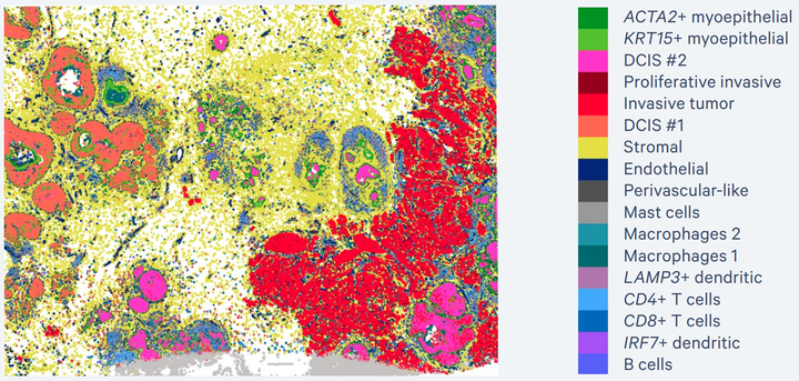 10x Genomics Xenium技术原理：开启空间转录组学新纪元 - 知乎