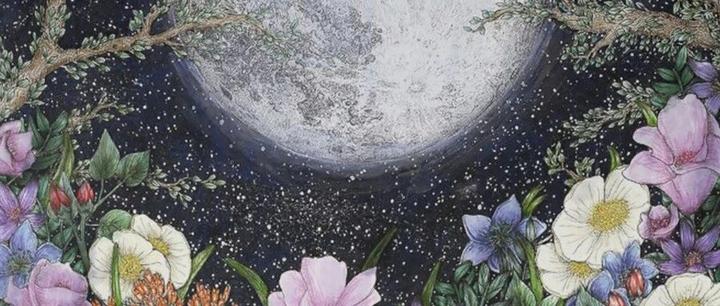 [23-13845]Doniger律所代理Elizabeth Mazur版权画起诉！已提出TRO！[23-cv-13845] - 知乎