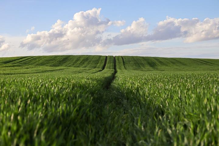 C#.NET Autofac 详解 - 知乎