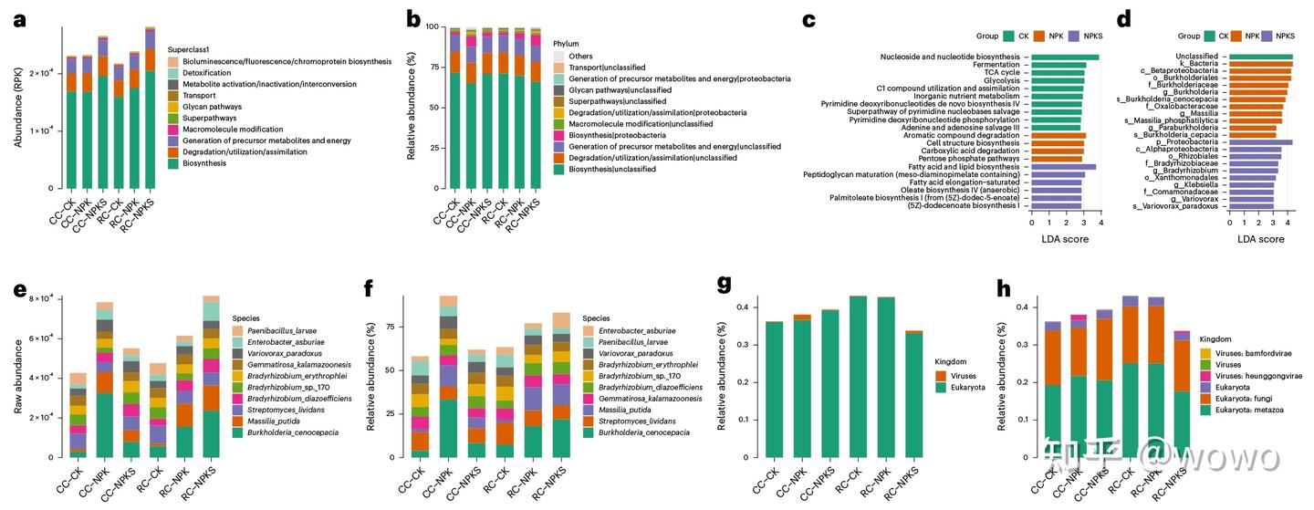 文献翻译: A workflow for statistical analysis and visualization of microbiome omics data (R microeco ...