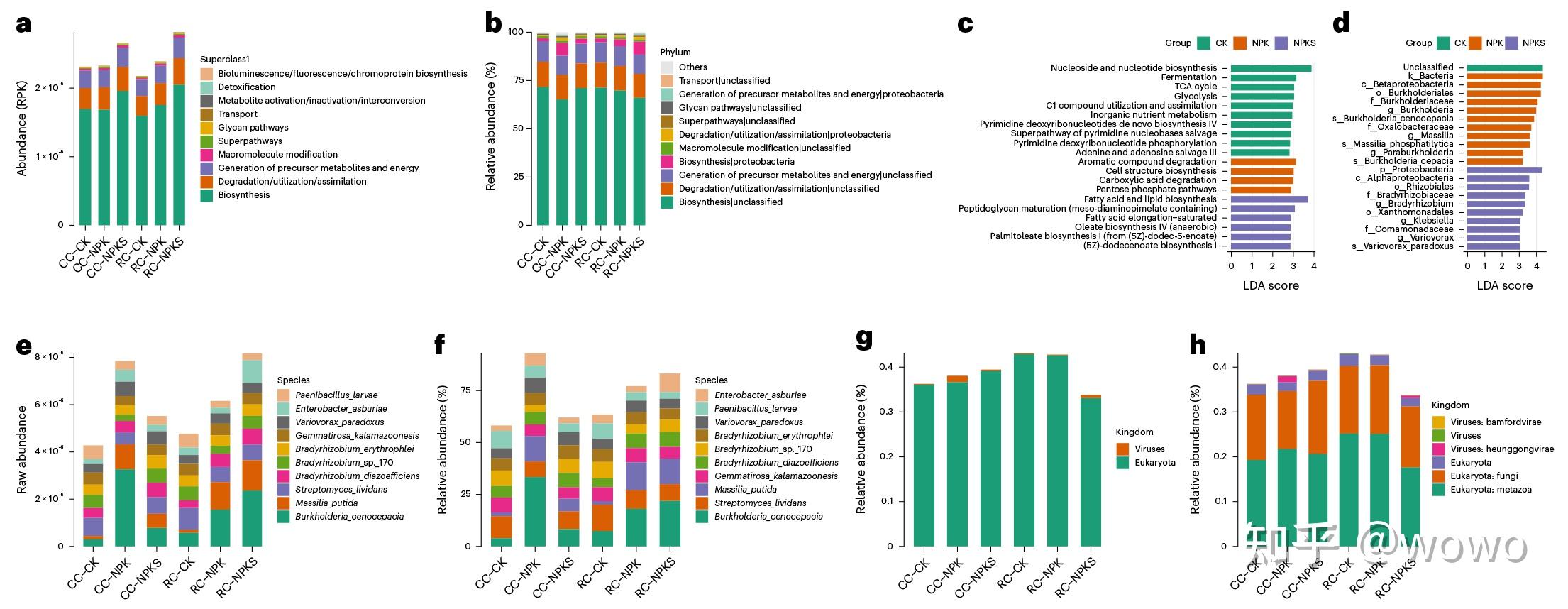 文献翻译: A workflow for statistical analysis and visualization of microbiome omics data (R microeco ...