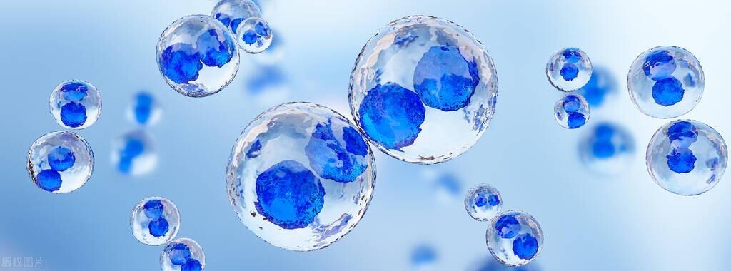 首次从头设计全新荧光素酶；通过合成生物实现虫草素绿色高效合成 - 知乎