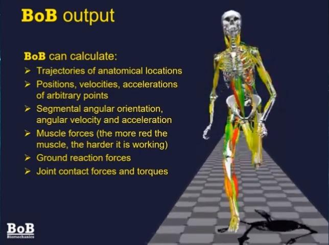 有大佬知道opensim V3d和 Anybody这三款分析软件的区别嘛？哪个适合做简单的步态分析？ - 知乎