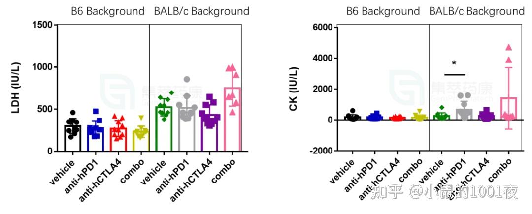 BALB/c Mice - 知乎
