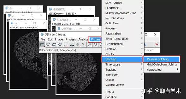 如何用Image J实现组织图片的无缝拼接 - 知乎