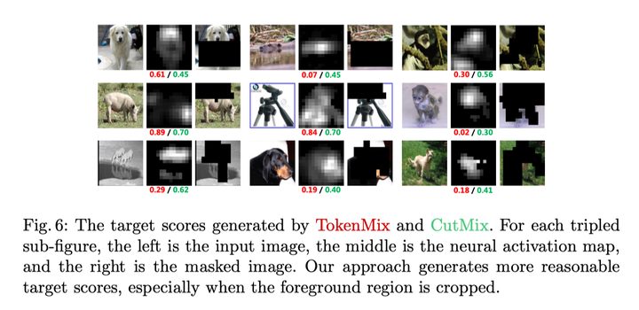 ECCV 2022 吊打MixUp和CutMix！MMLab&商汤提出超强数据增强策略《TokenMix》！ - 知乎