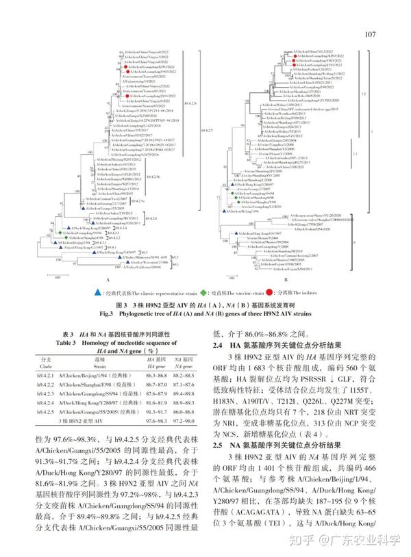 【精选论文】广东地区 H9N2 亚型禽流感病毒 HA 和 NA 基因生物学特征分析 - 知乎