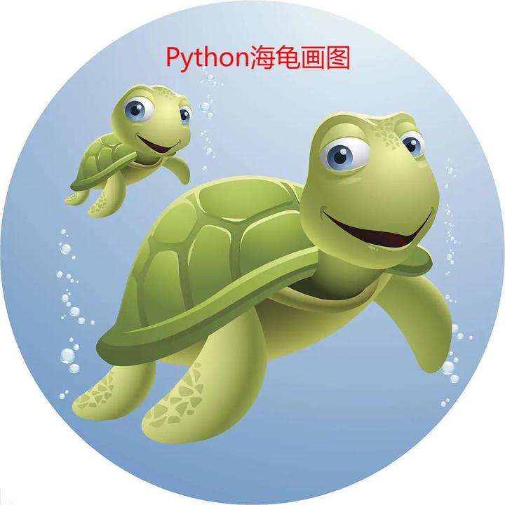 【python入门】turtle海龟库：利用海龟画笔绘制花朵 知乎