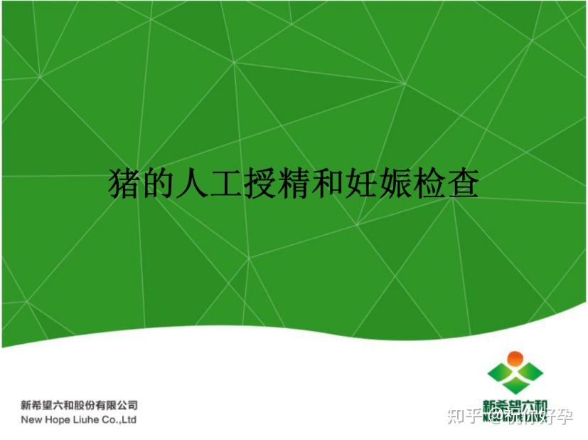 猪的人工授精和妊娠检查 知乎