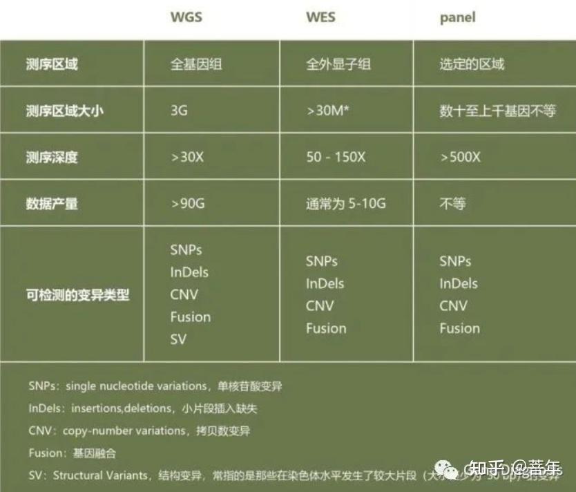全外测序（WES） - 知乎
