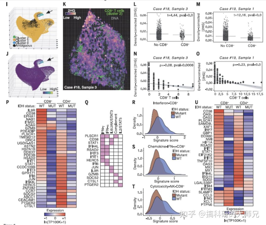 研究生如何进行文献精读？主刊Science教你大热的代谢免疫研究思路—肿瘤细胞分泌促癌代谢物D-2HG抑制CD8 T细胞糖酵解 - 知乎