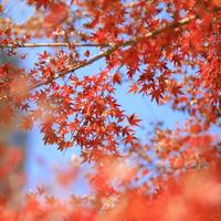 Labview通过OpencvSharp读取视频 - 知乎