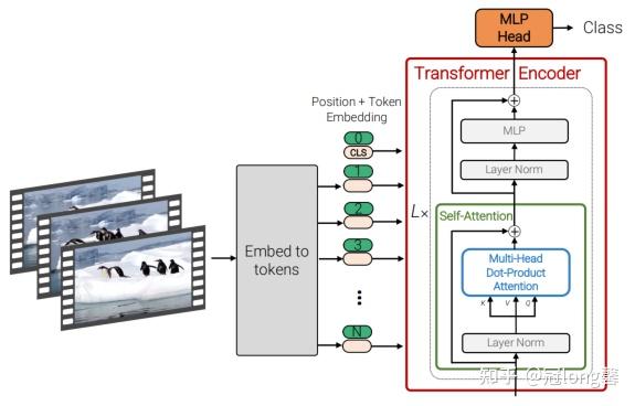 Video Tokenizer and Video Encoder - 知乎