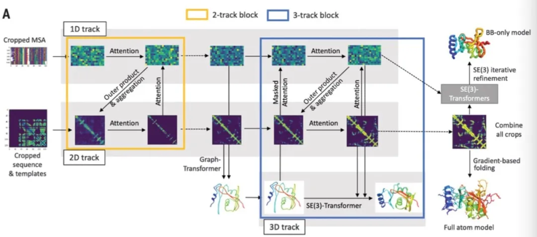 对标AlphaFold！北大校友联合研发RoseTTAFold，十几分钟可解析给定序列的三维结构 | 专访 - 知乎