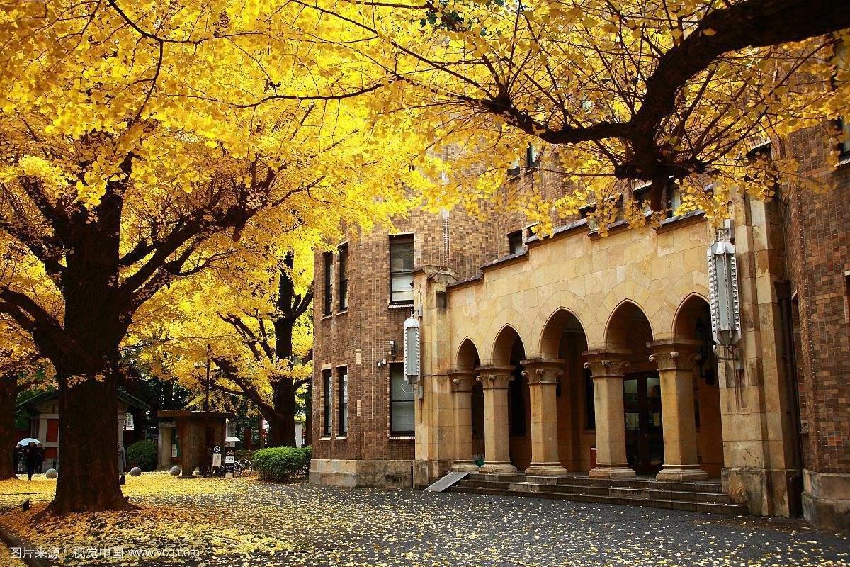 去日本留学择校，日本工程专业最好的6所大学 知乎 6873