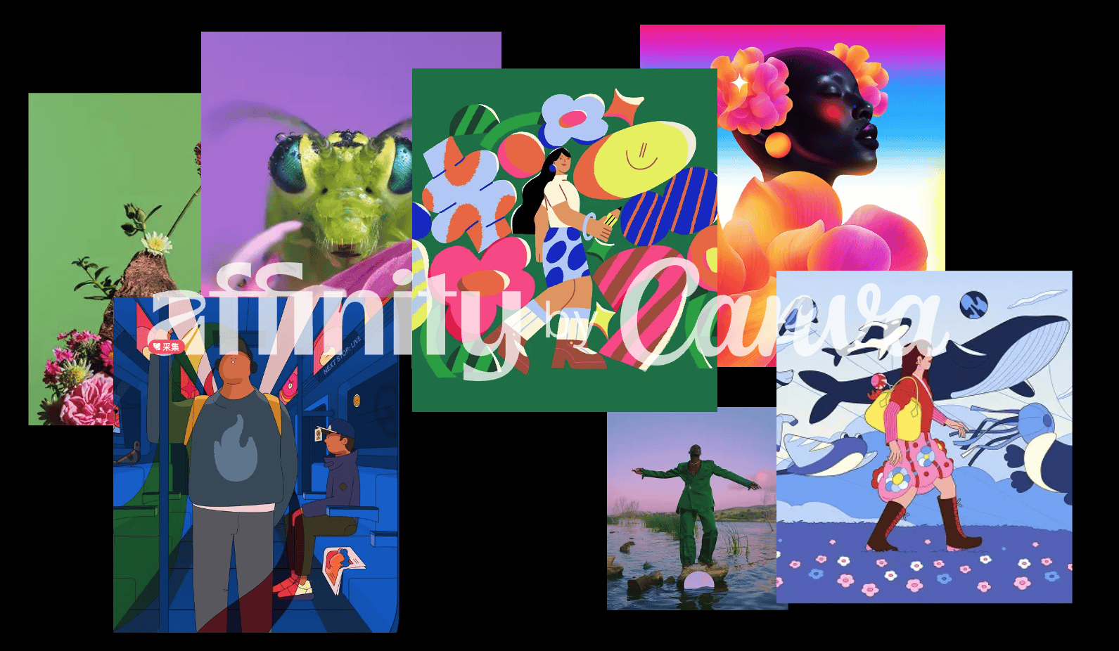 全新免费 Affinity Studio 正式推出：设计三工具合一！ - 知乎