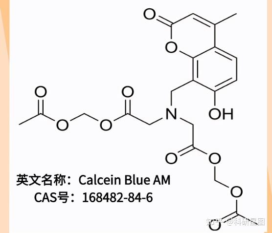 Calcein Blue AM速览：一文读懂所有核心知识点（CAS号：168482-84-6） - 知乎