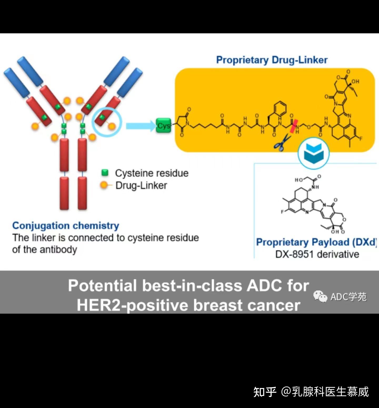 DS8201是什么药？ - 知乎