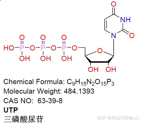 三磷酸尿苷（UTP)-mRNA合成主要原料之一 - 知乎