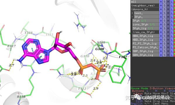 Pymol自动化显示小分子-蛋白相互作用 - 知乎