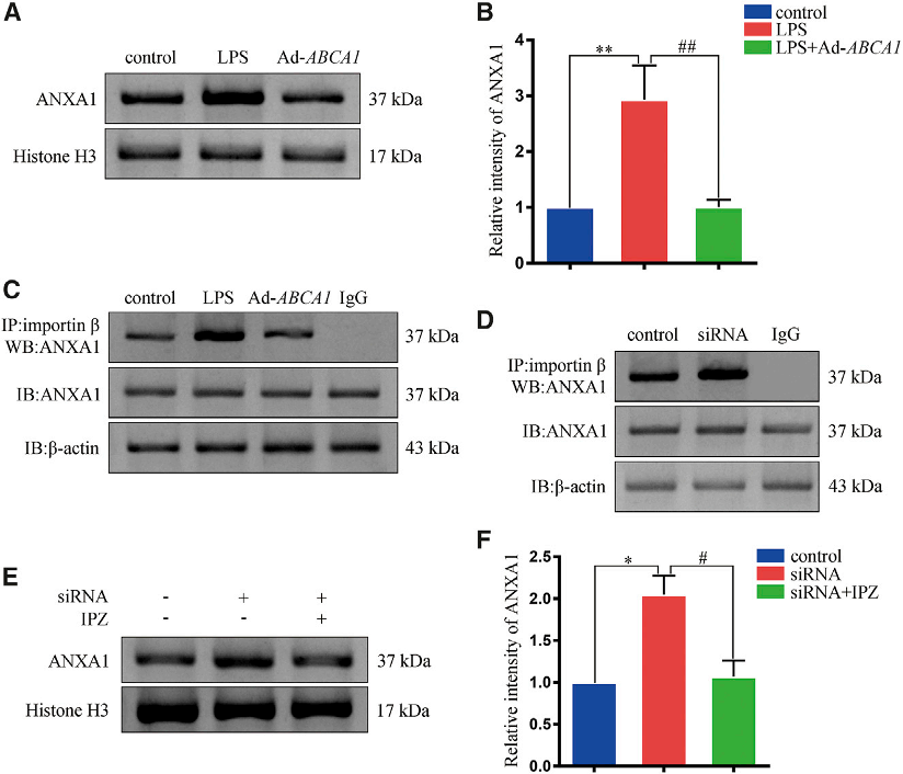 如何确定腺病毒感染细胞的病毒用量？ - 知乎