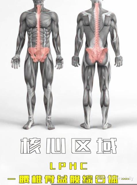 核心训练，不止是能瘦肚子！ - 知乎