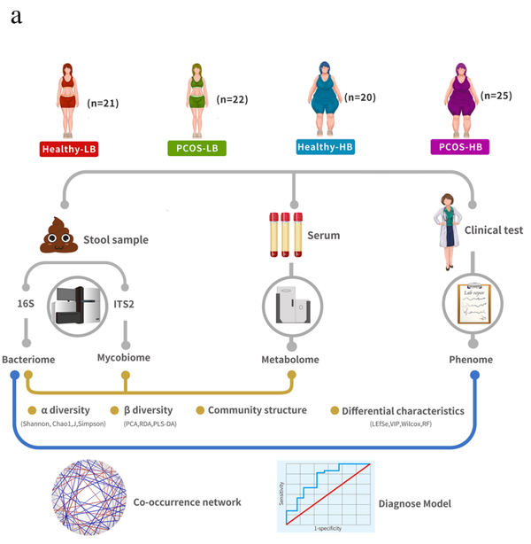 凌恩客户文章|JCR 一区:多组学联合分析揭示PCOS真元凶 - 知乎