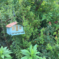 2024 届EA/ED录取数据 & TOP50 2025 EA/ED列表 - 知乎