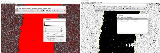 科研干货 | 教你如何玩转多功能处理工具Image J - 知乎