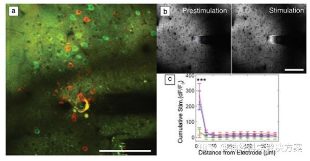 Cambridge NeuroTech硅电极神经接口的最新进展——材料化学到临床转化 - 知乎