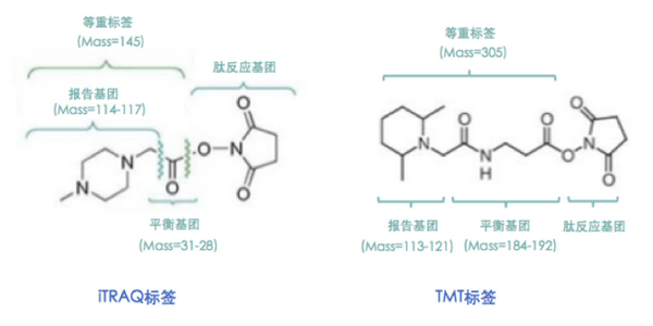 iTRAQ/TMT标签结构以及相对定量原理详解 - 知乎