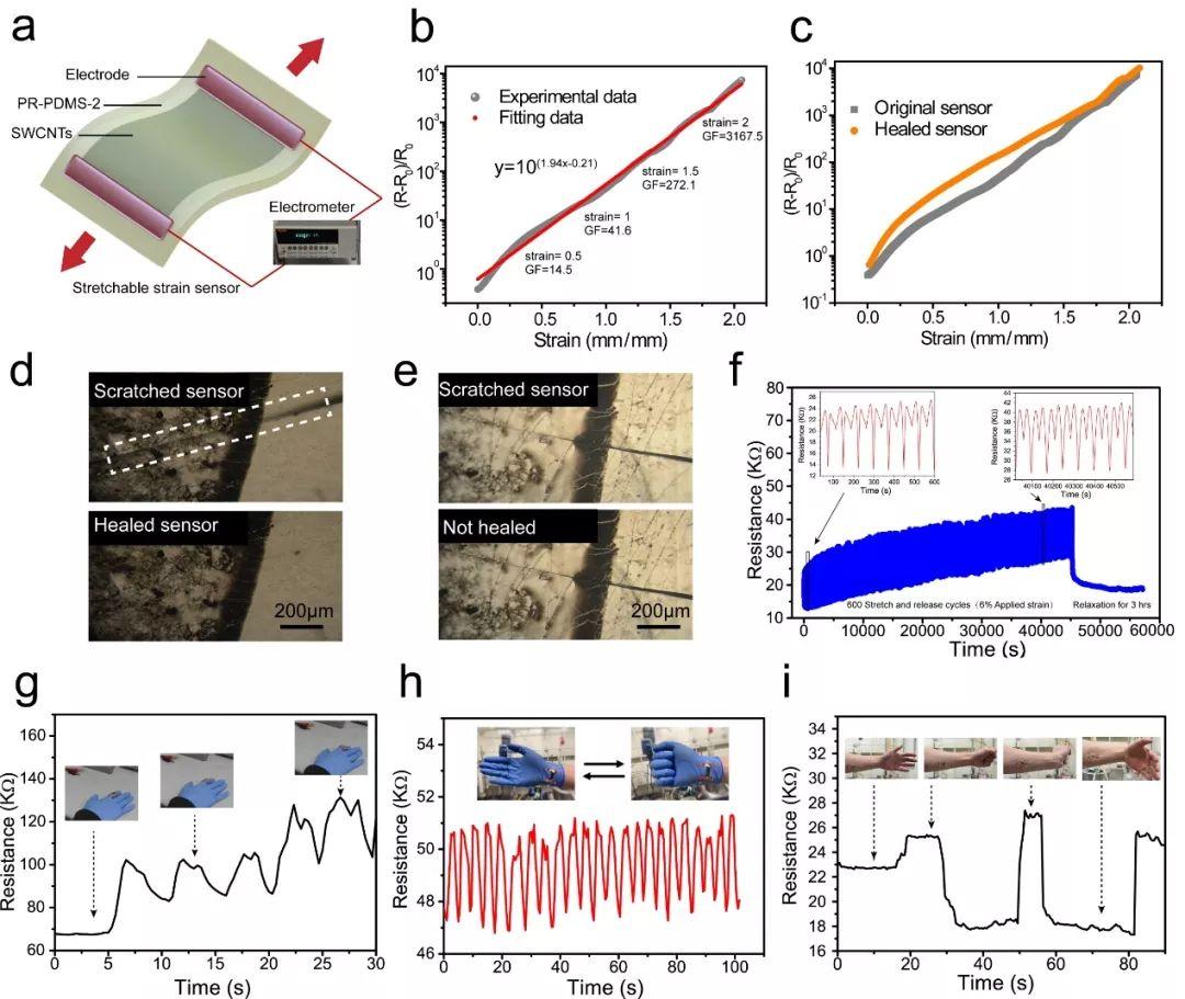 南京大学贾叙东、张秋红《AFM》：基于分子轮滑和氢键的高拉伸自修复弹性体 - 知乎