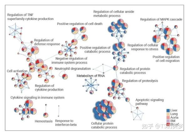 GO、KEGG（批量分组）分析及可视化 - 知乎