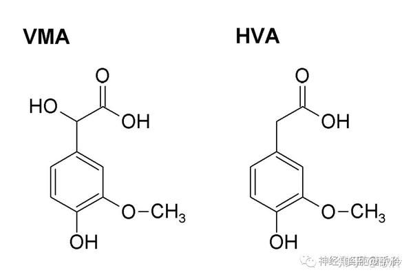 神经母细胞瘤的VMA和HVA检查 - 知乎
