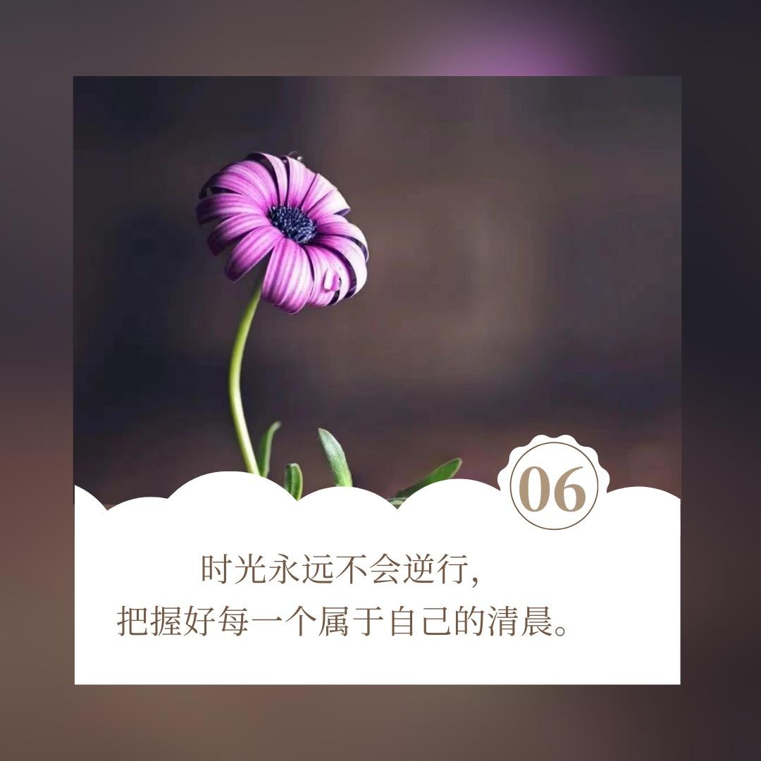 10句励志正能量文案，每天发圈不重样，送给最棒的你！（日签水印已去除） 知乎