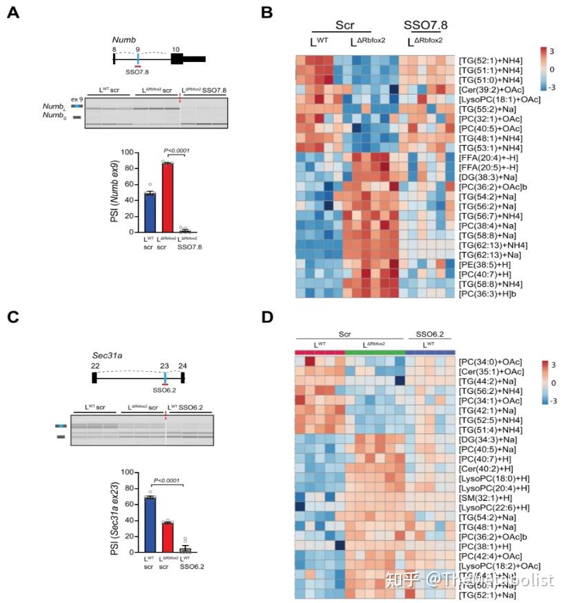 代谢学人--Nature Metabolism：胆固醇代谢紊乱，RBFOX2来理清 - 知乎