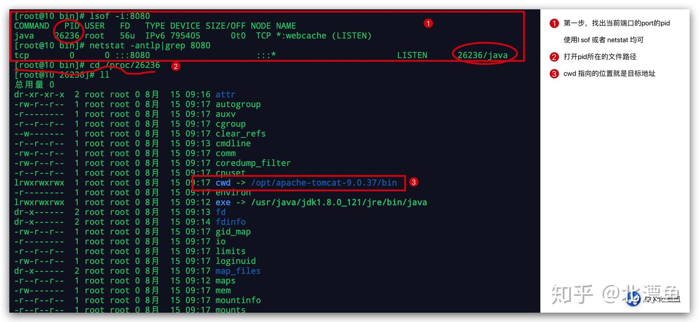 Linux服务器：安装tomcat并部署war应用 - 知乎
