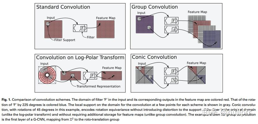 Rotation equivariant and invariant neural networks for microscopy image analysis - 知乎