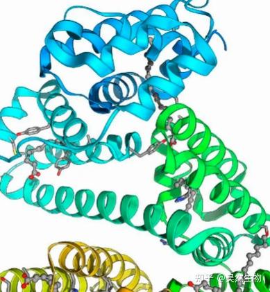 Alexa Fluor 647 标记人血白蛋白，Alexa Fluor 647-Albumin,AF647/HSA - 知乎