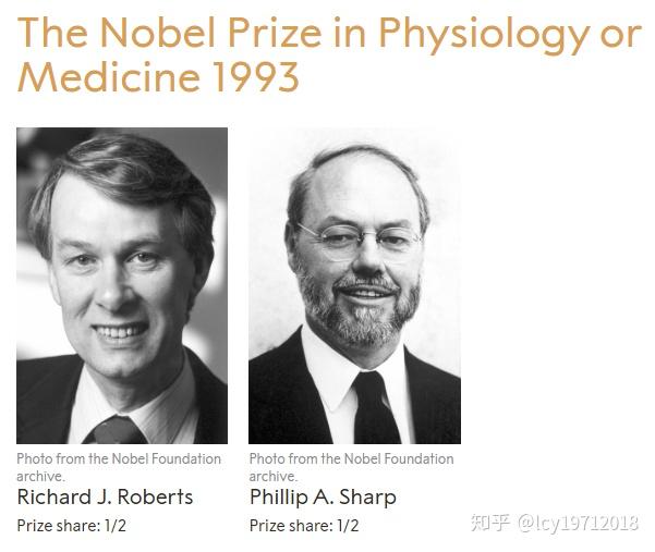 真核生物mRNA的加工修饰与转录调控（一） - 知乎