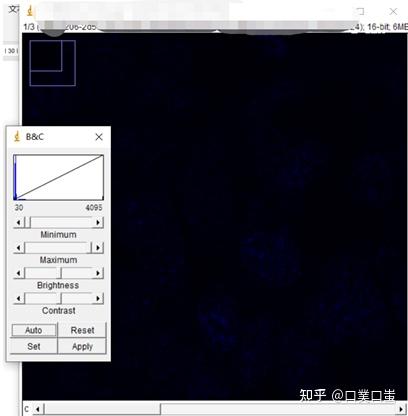 使用ImageJ读取oir文件，并导出Tiff文件方法 - 知乎