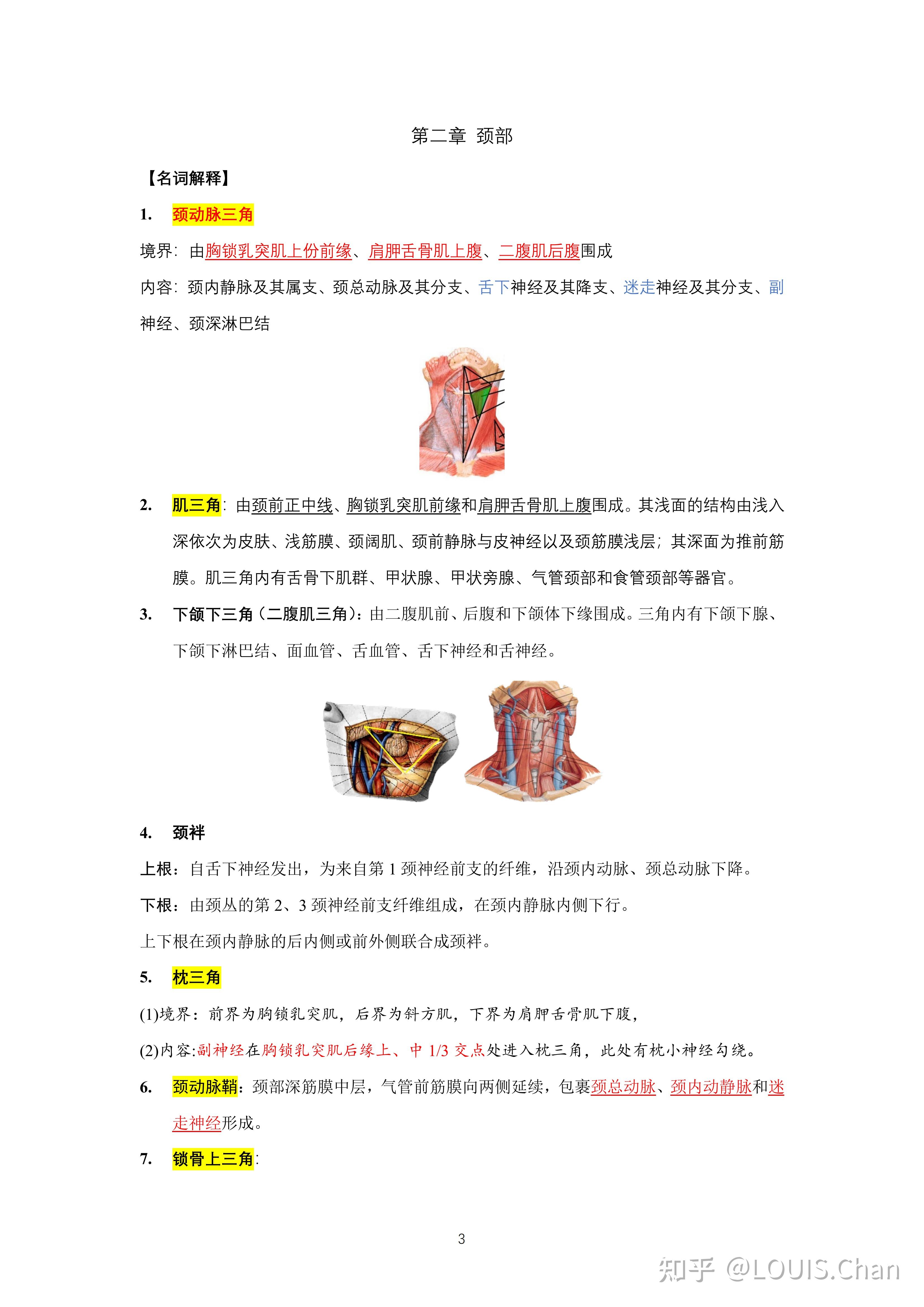 ZZU(郑州大学)《局部解剖学》复习资料（重点） - 知乎