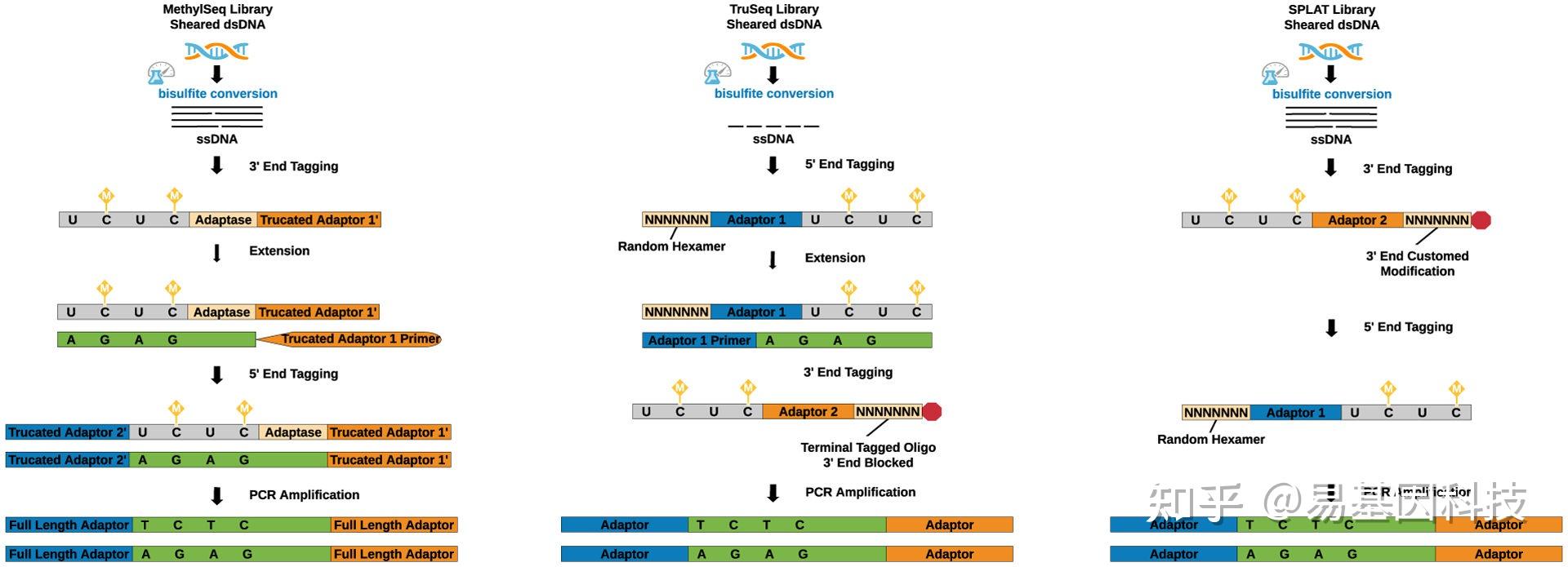 全基因组DNA甲基化测序数据工作流程分析和性能评估 分析软件比较 | 生信专区 - 深圳市易基因科技 - 博客园