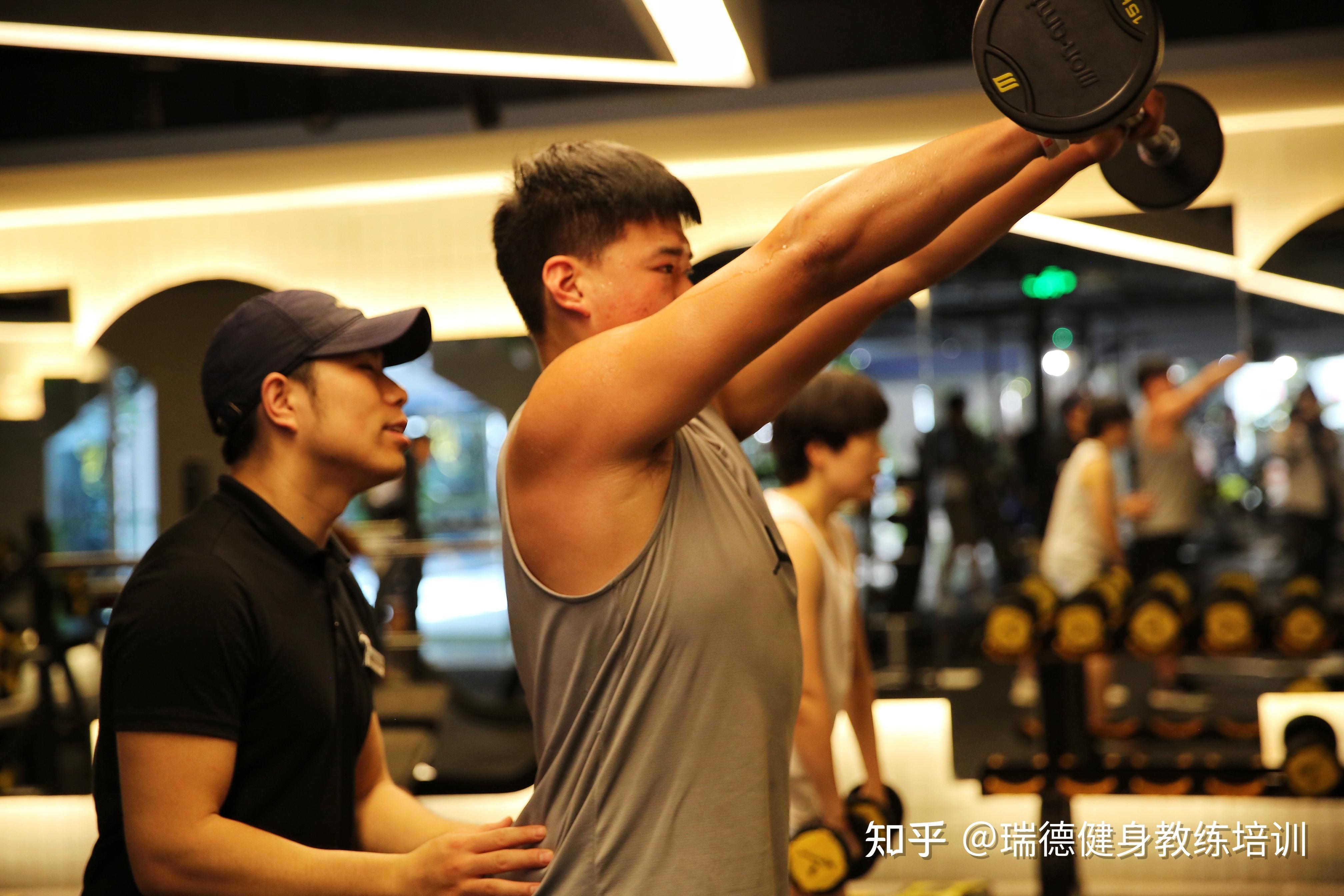 零基础学健身教练选择哪一家好? 知乎