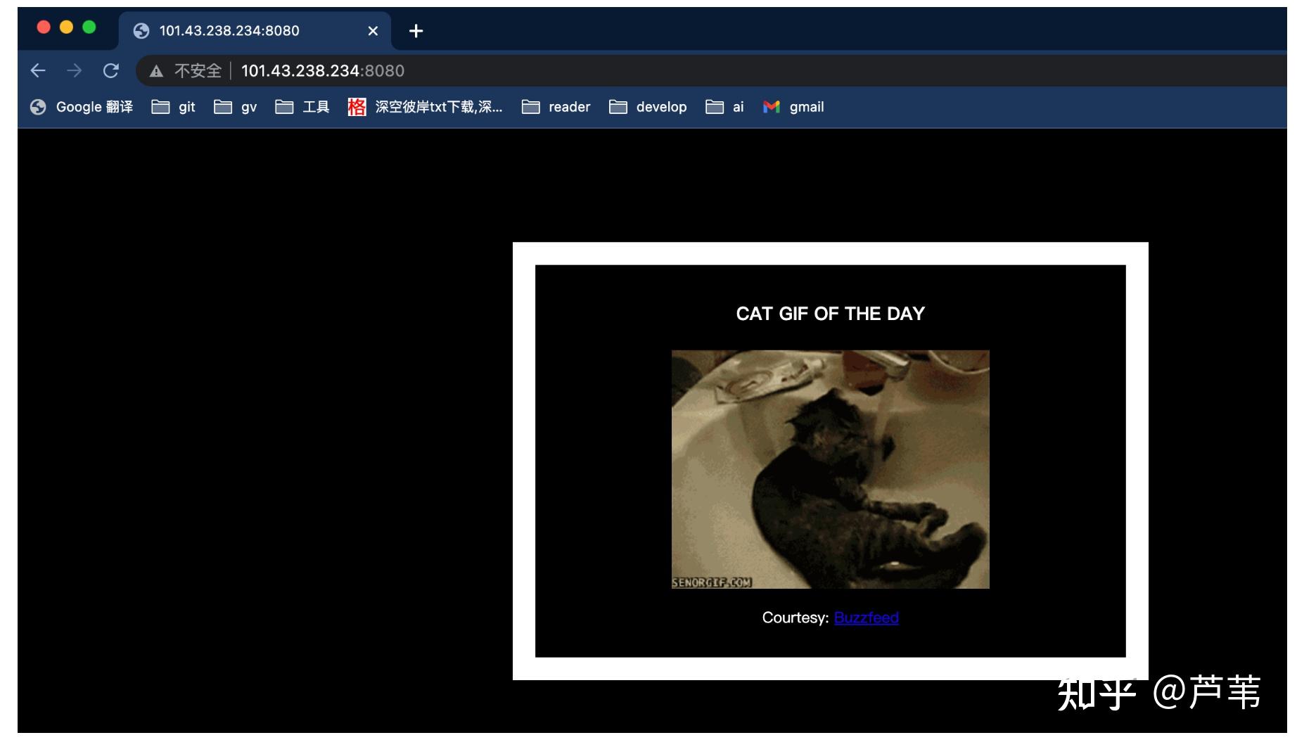 Docker 教程（一） - 知乎