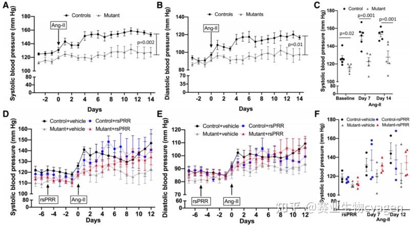 国外学者发现sPRR可能通过RAA系统非依赖性信号来调节血压 - 知乎